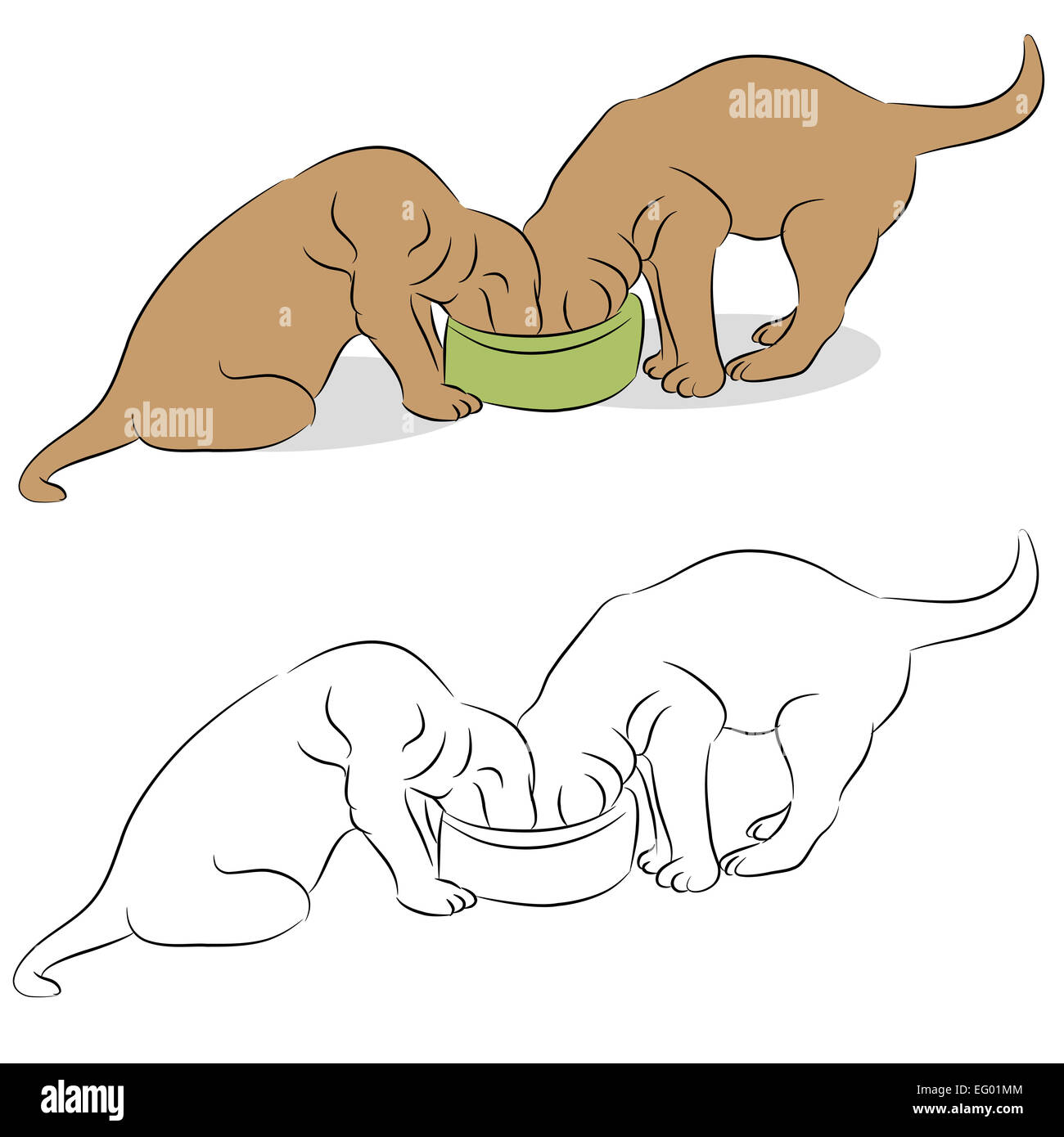 An image of a two Labrador puppies eating from a dog bowl Stock Photo ...