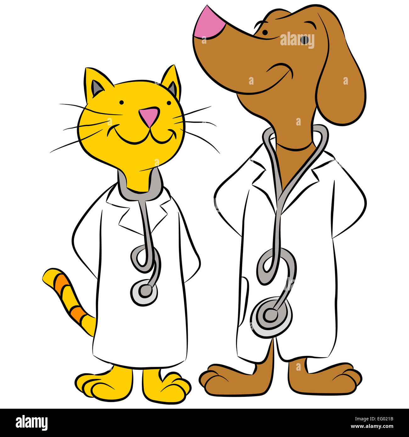 An image of a cat and dog dressed as pet doctors Stock Photo - Alamy
