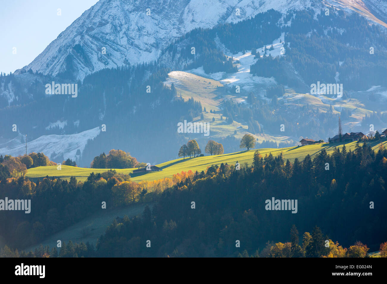 Autumn in the Simmental, Erlenbach im Simmental, Kanton Bern ...