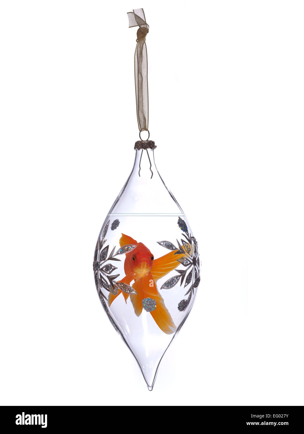 Goldfish swimming in a glass christmas tree bauble Stock Photo - Alamy