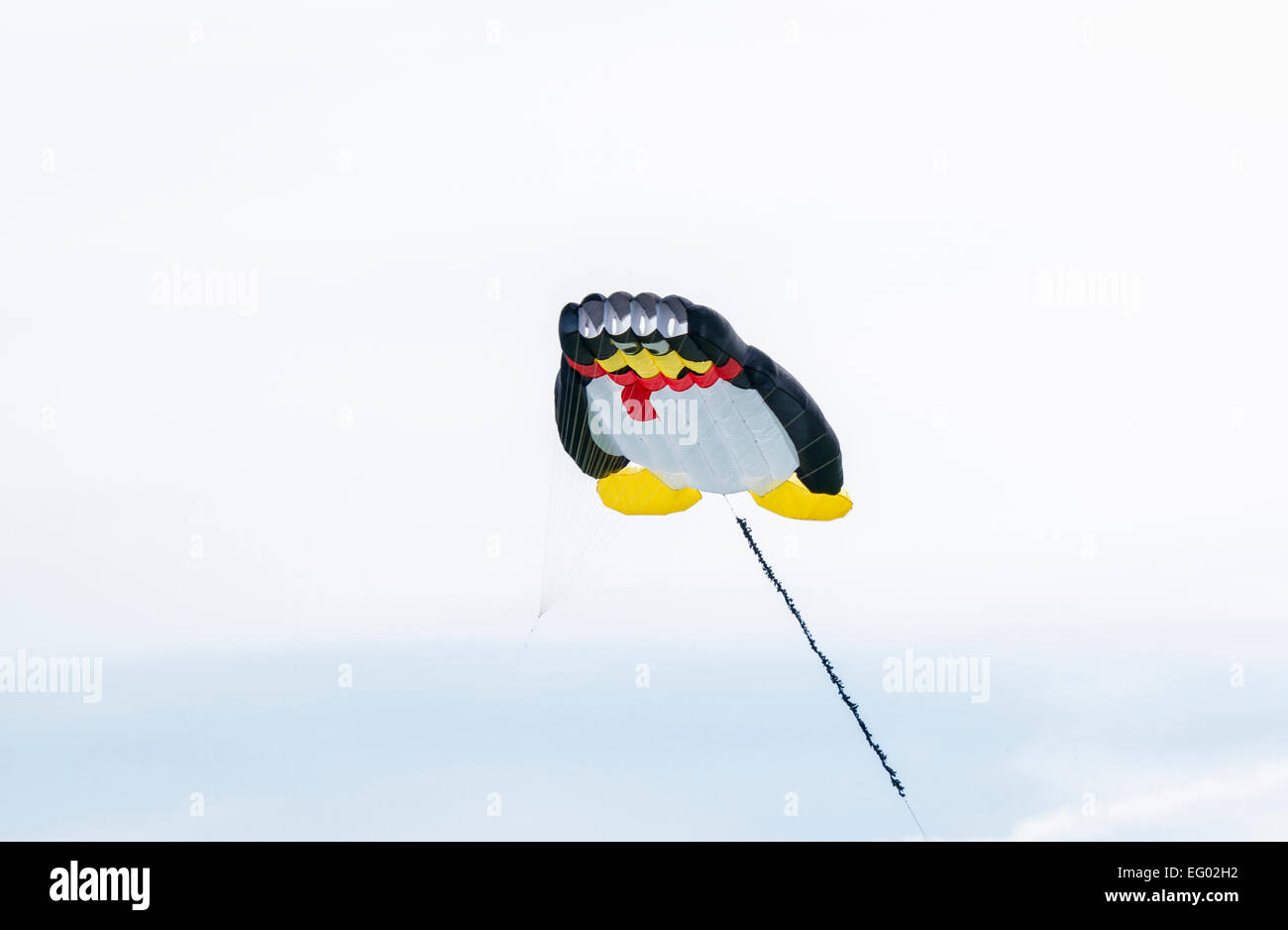 A penguin shaped kite flying Stock Photo - Alamy