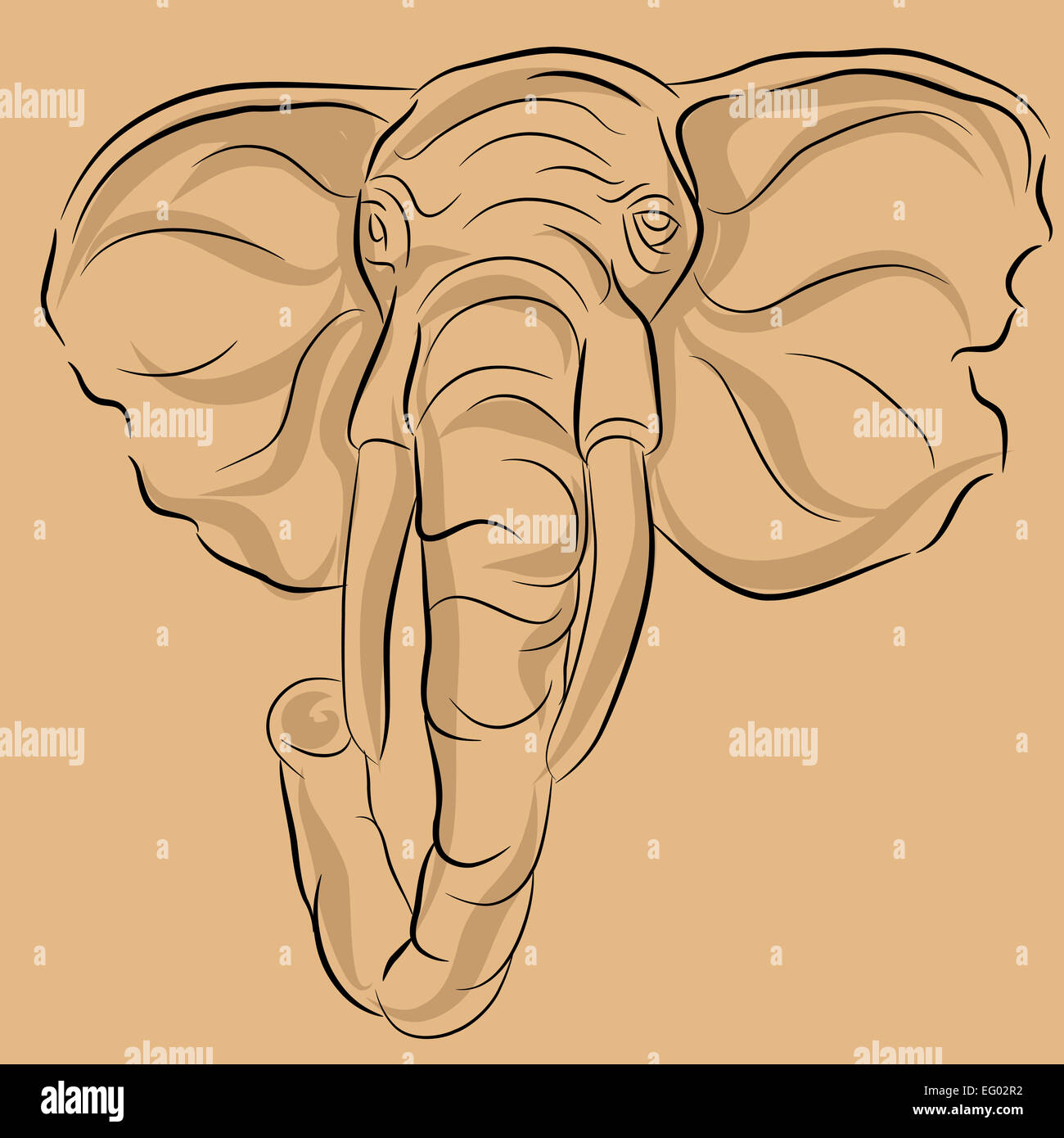 An image of an elephant head drawing Stock Photo - Alamy