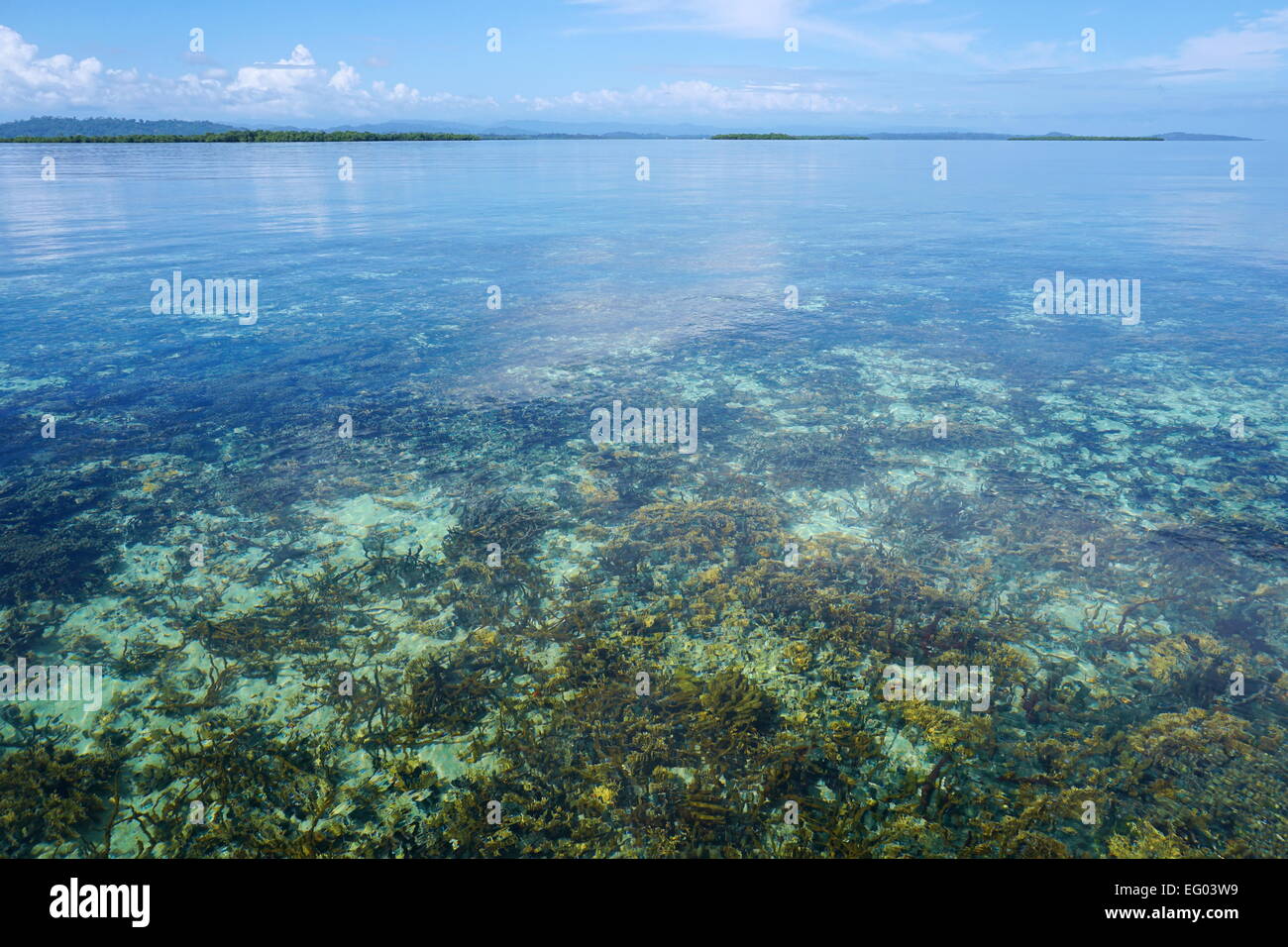 Calm and clear water with coral reef below sea surface and islands at ...
