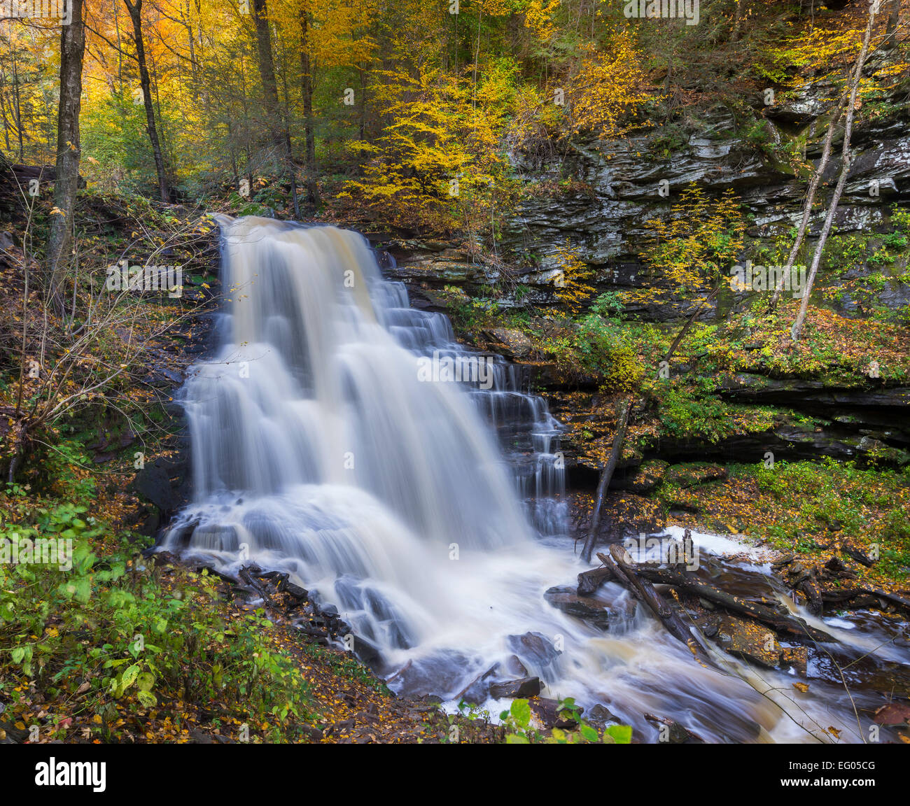 Erie pennsylvania park fall foliage hi-res stock photography and images ...