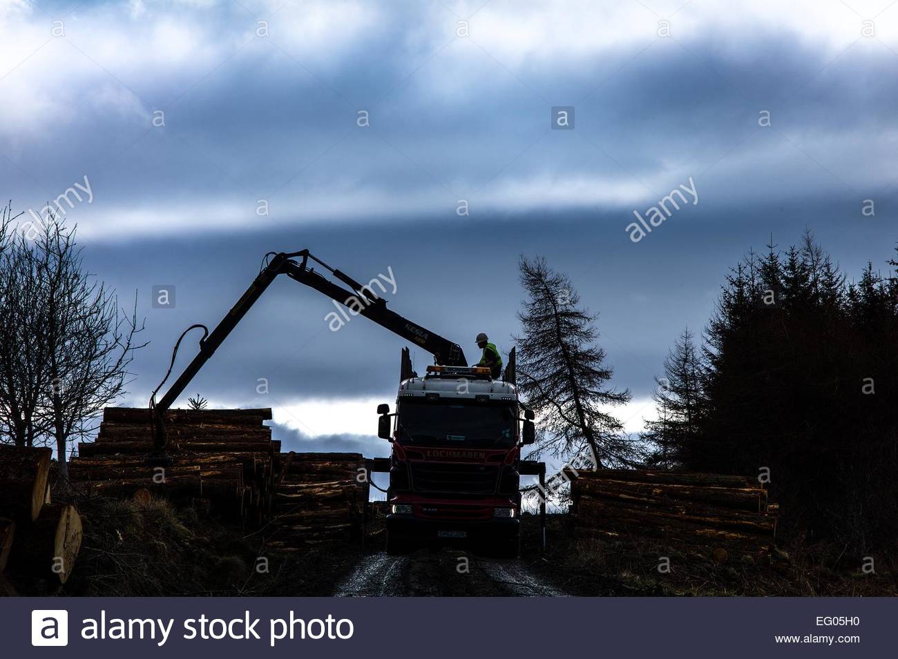 Logs Crane Timber Stock Photos & Logs Crane Timber Stock Images - Alamy