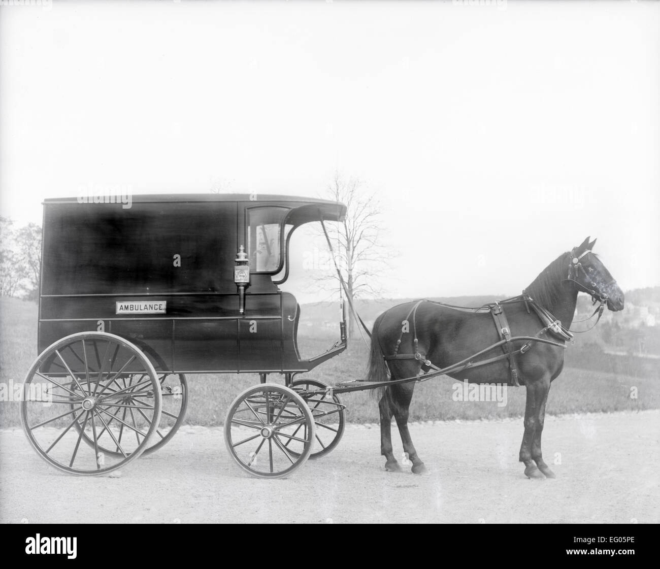 Antique c1900 photograph, horse-drawn ambulance wagon, probably ...