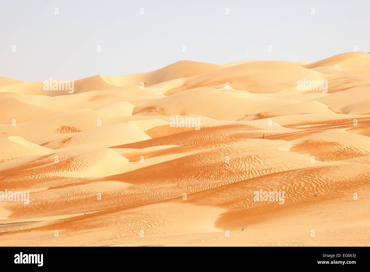 Desert landscape in Abu Dhabi, United Arab Emirates Stock Photo - Alamy