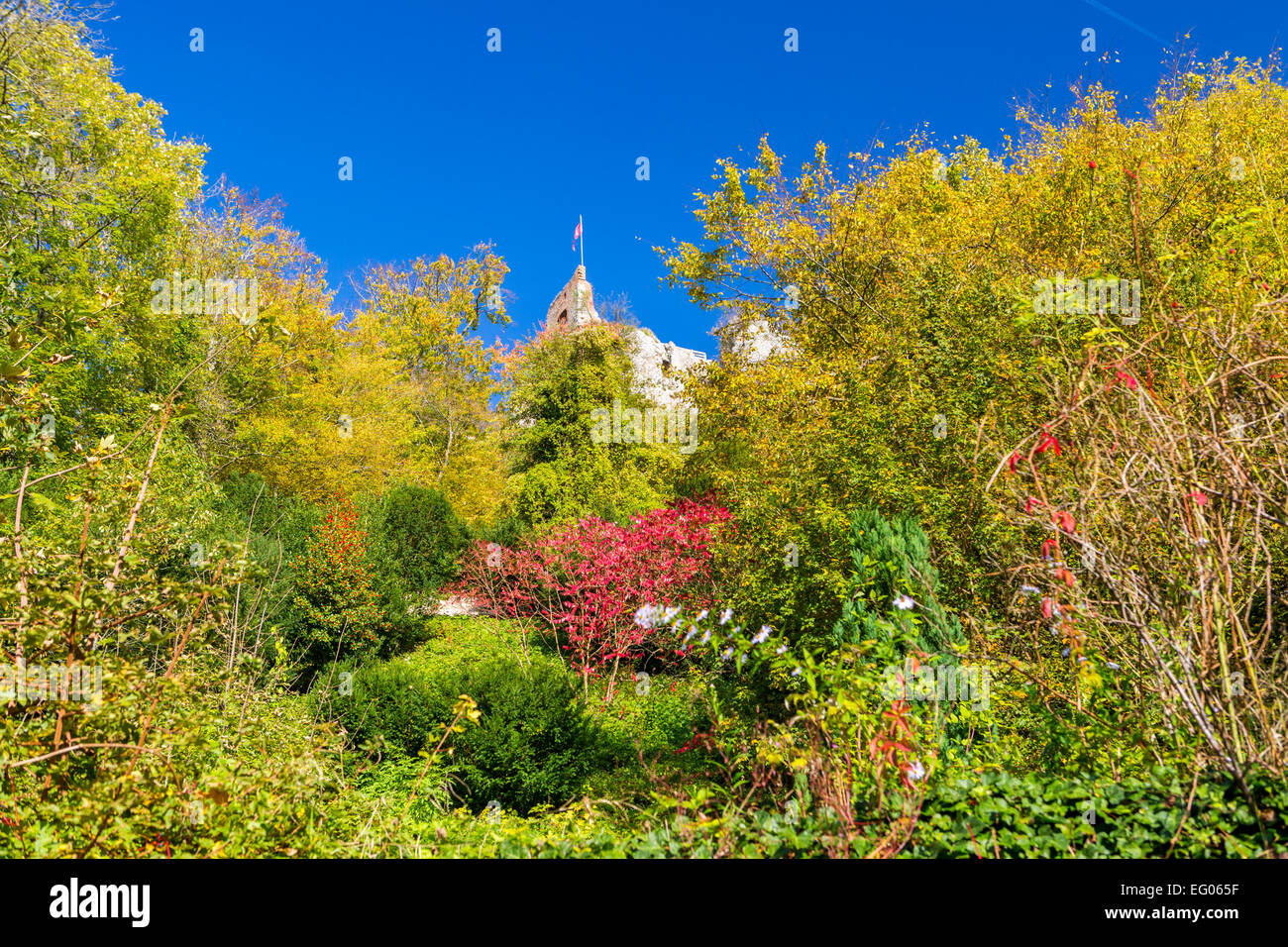 Ferrette ruins of the castle, Haut Rhin, Alsace, France Stock Photo - Alamy