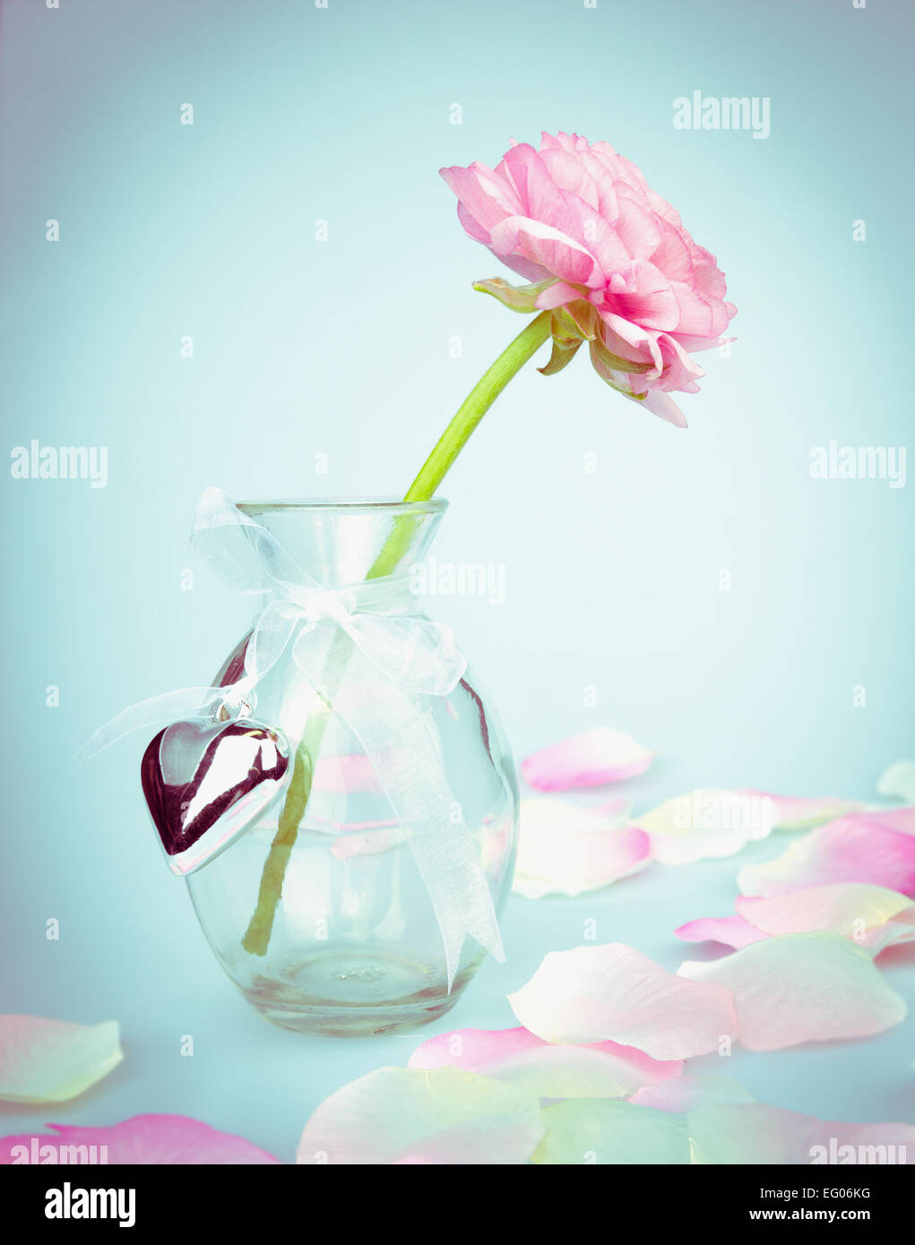 Pink buttercups in glass vase with heart, love card, toning Stock Photo ...