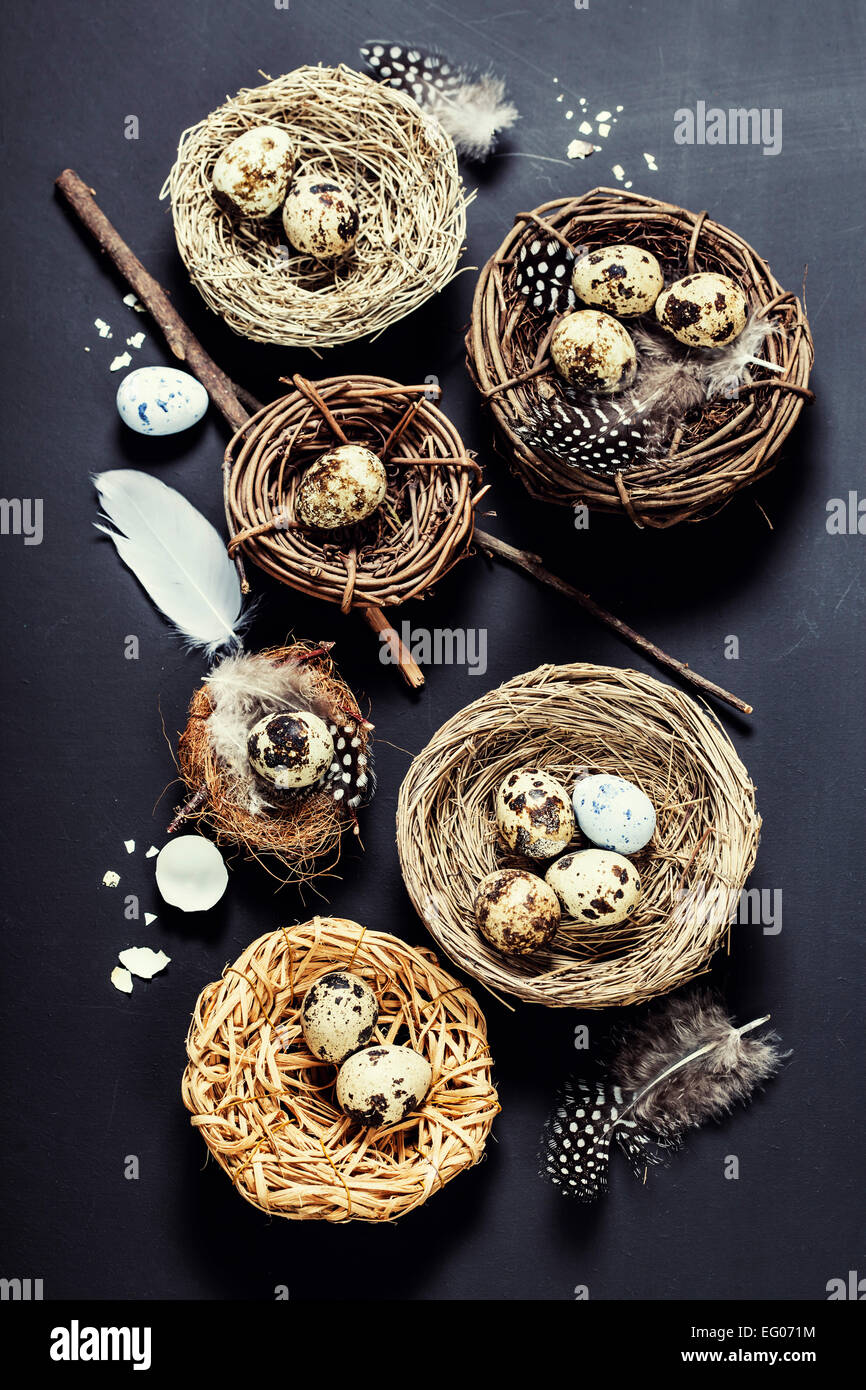 Easter background with eggs and nests Stock Photo - Alamy