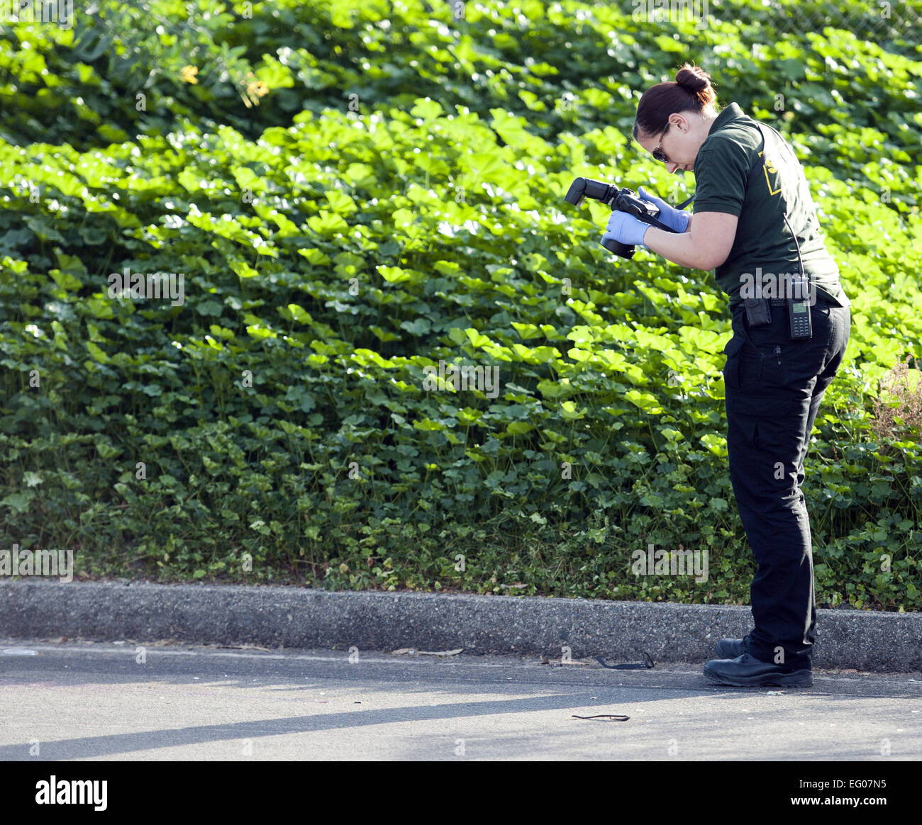 San Clemente, California, USA. 2nd Feb, 2015. Orange County Sheriff's ...