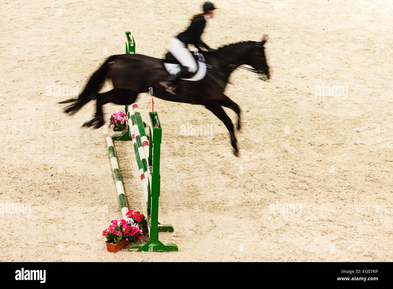 Equitation. Riding competition. Show jumping, horse and rider over jump ...