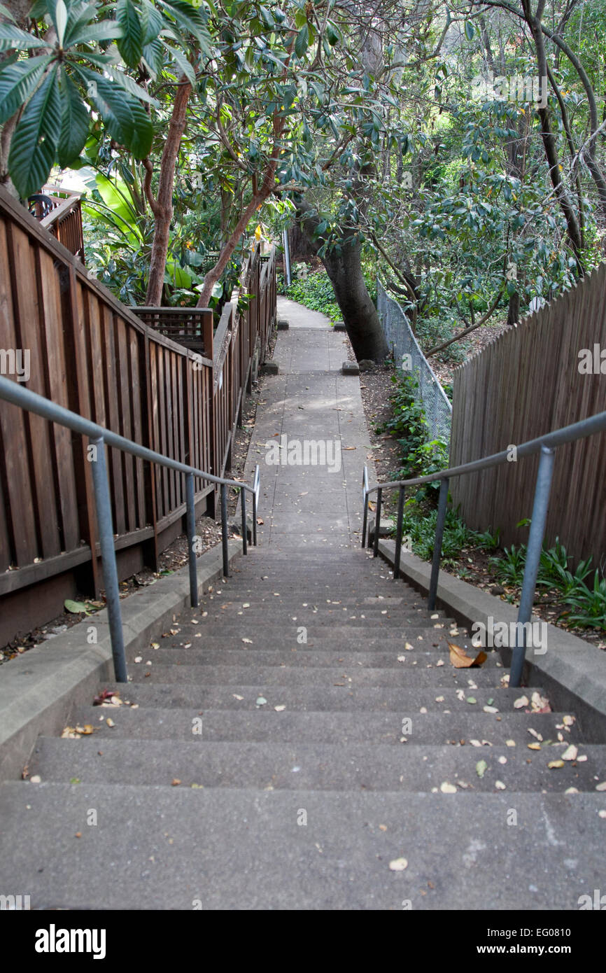 A set of Berkeley steps Stock Photo - Alamy