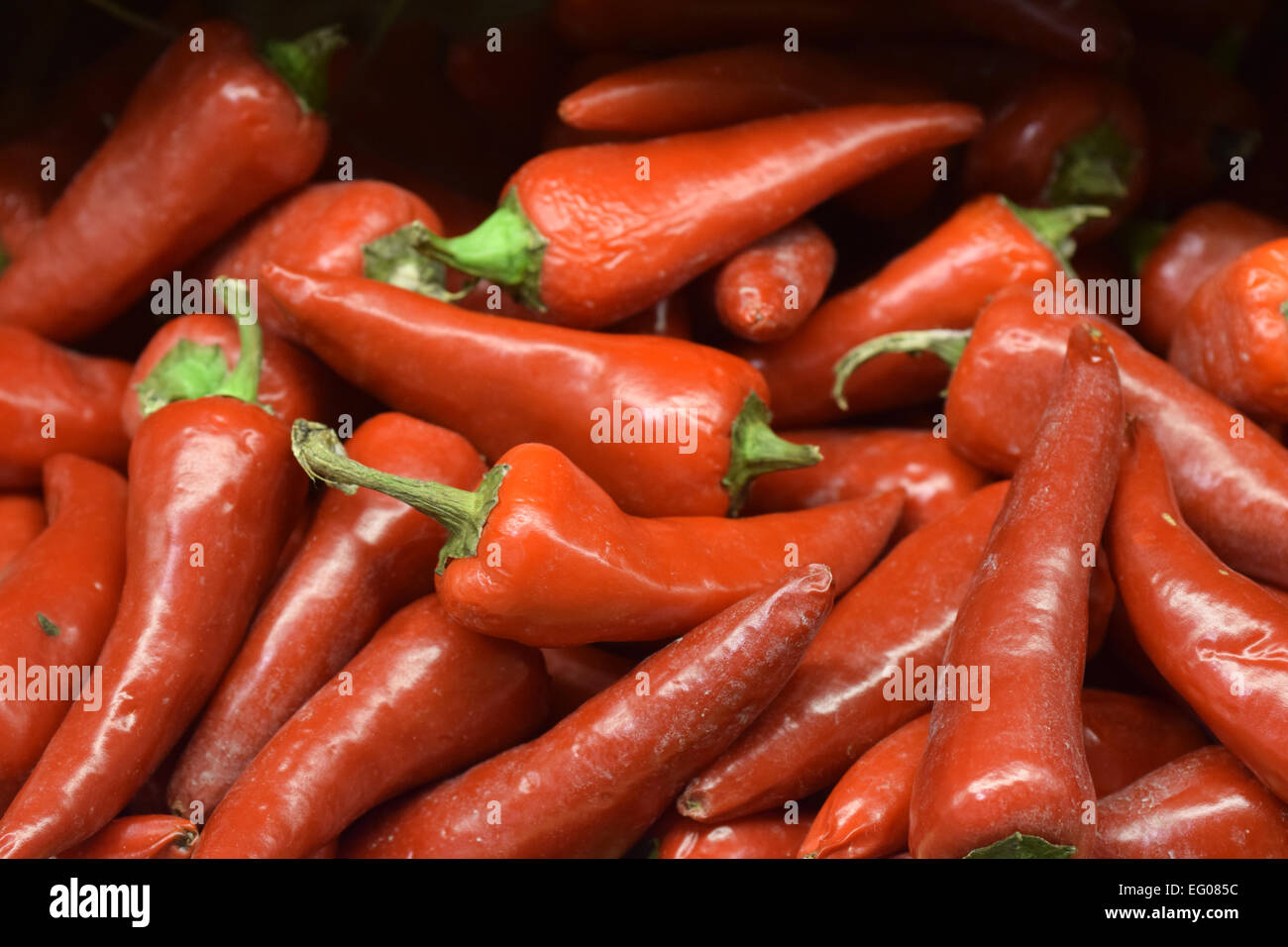 Magnificent red peppers, vegetable, were selected to be photographed ...