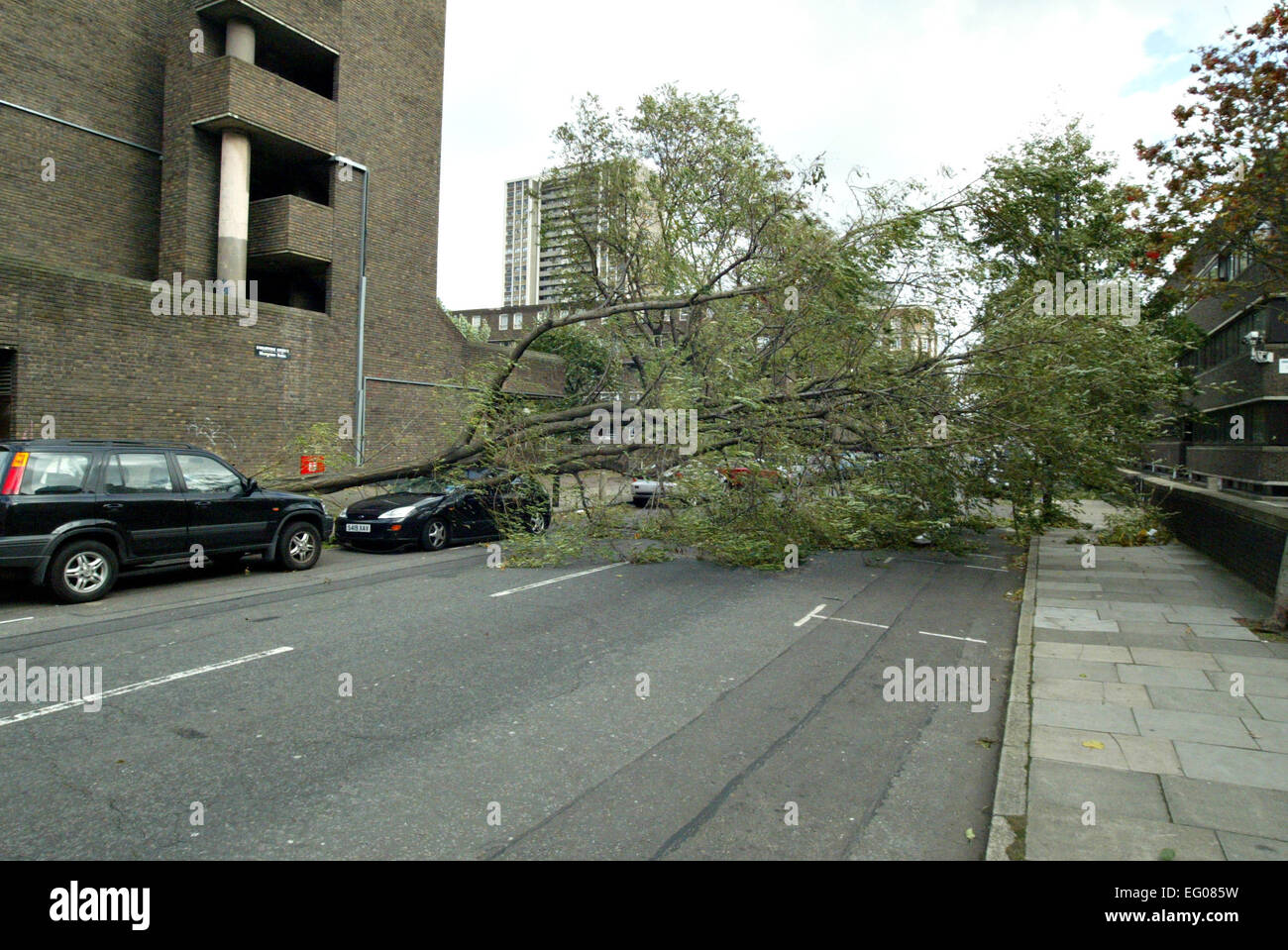 Tree falls on car in London,after storm spencer street islington, 27 ...