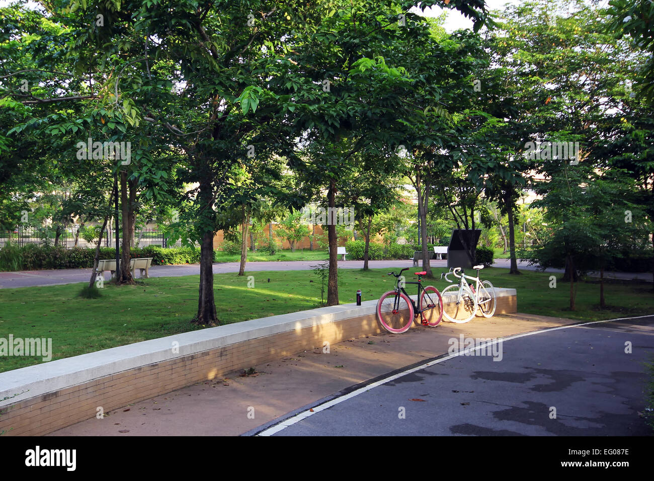 The peaceful park in the morning Stock Photo - Alamy