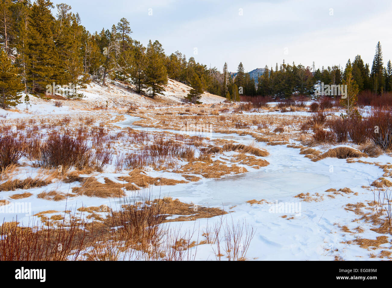 Rocky Mountain National Park, rugged terrain, winter, Landscape, snow ...