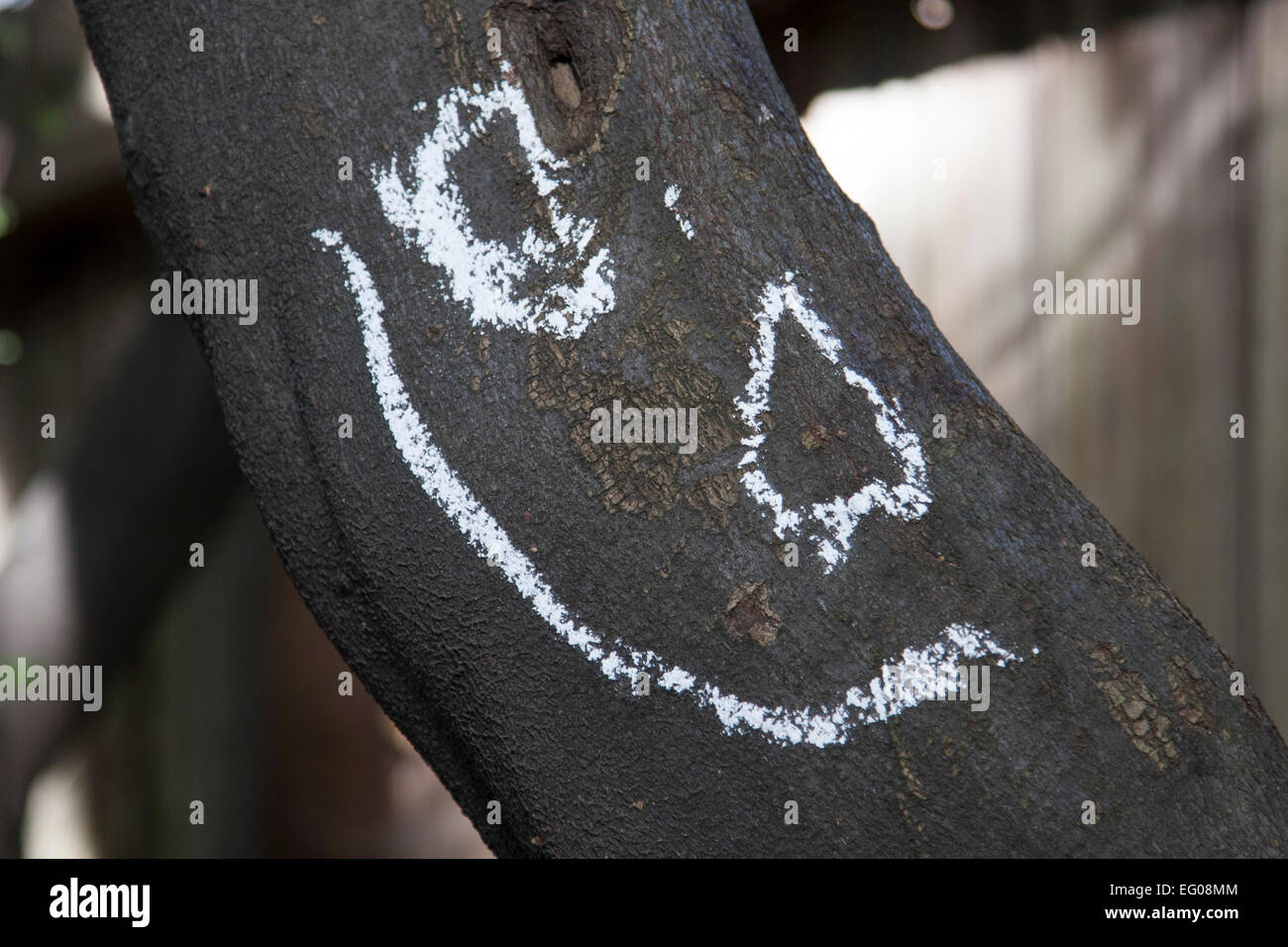 Smiley tree hi-res stock photography and images - Alamy