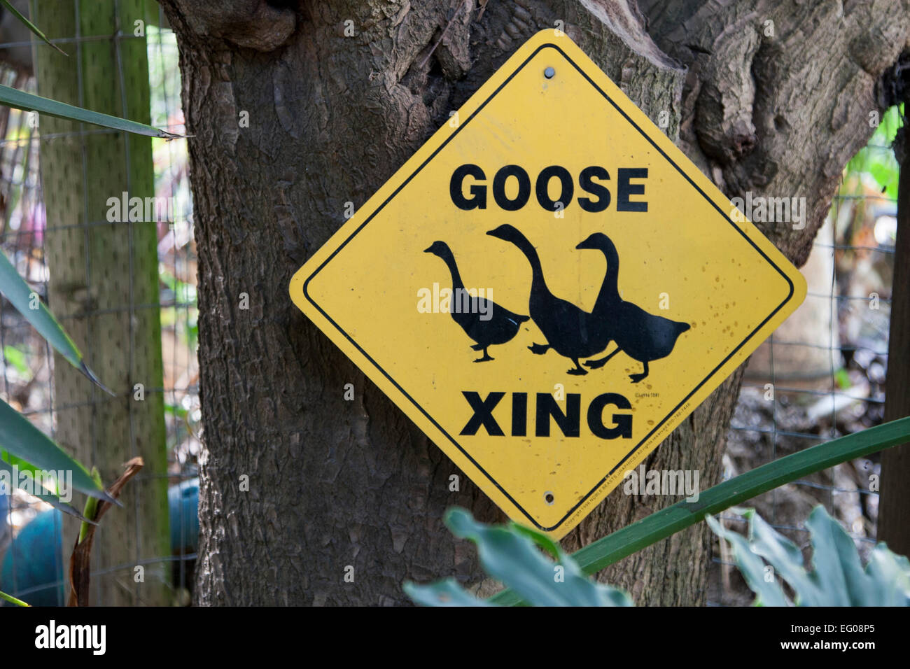 Goose crossing sign attached to a tree hi-res stock photography and ...