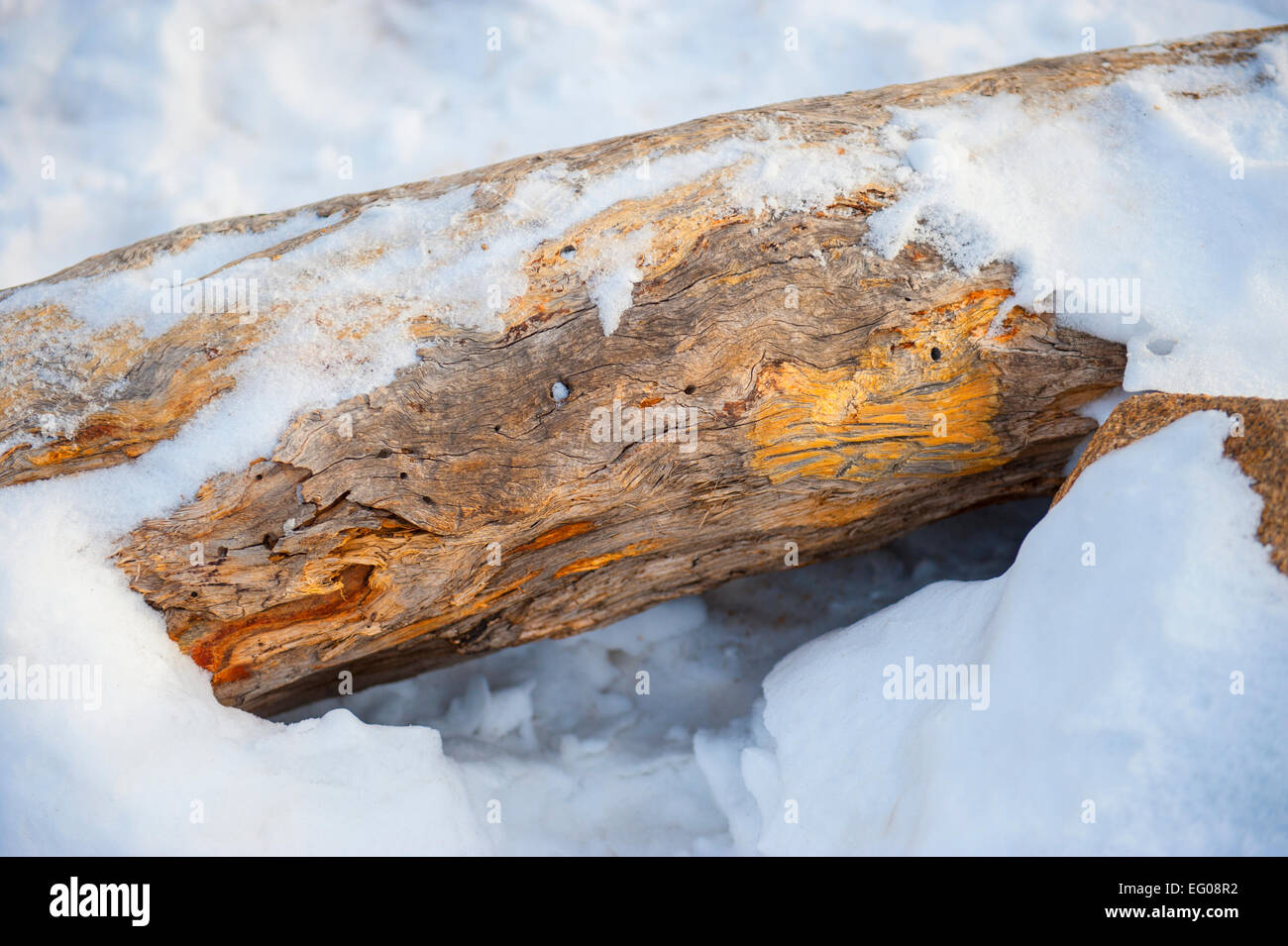 Snow log hi-res stock photography and images - Alamy