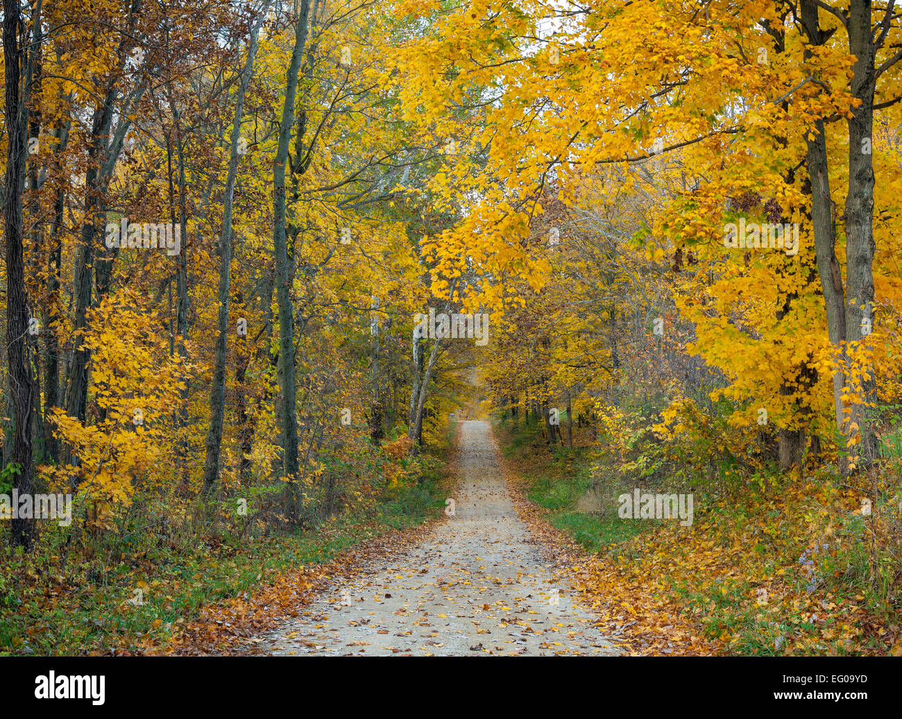 Parke county indiana hi-res stock photography and images - Alamy