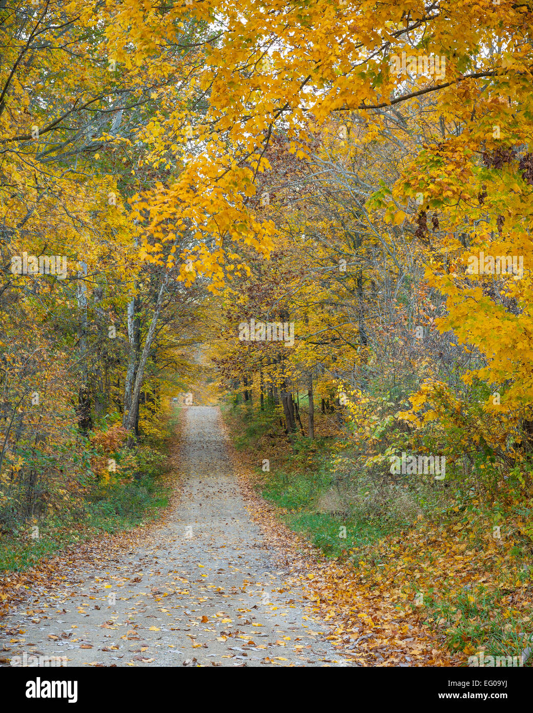 Parke County, IN: Country lane in fall Stock Photo - Alamy