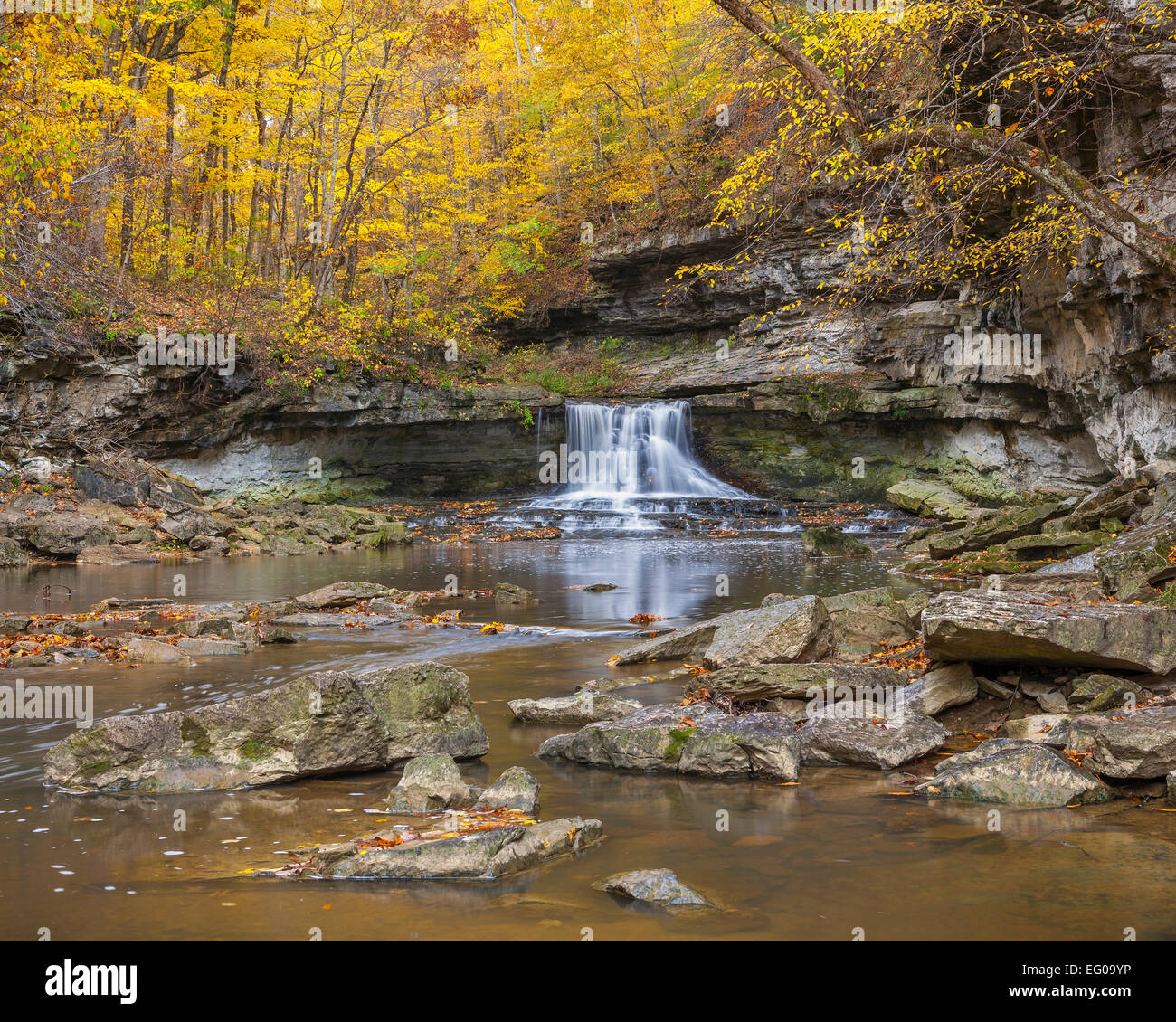 McCormick's Creek State Park, IN: McCormick's Creek Falls in autumn ...