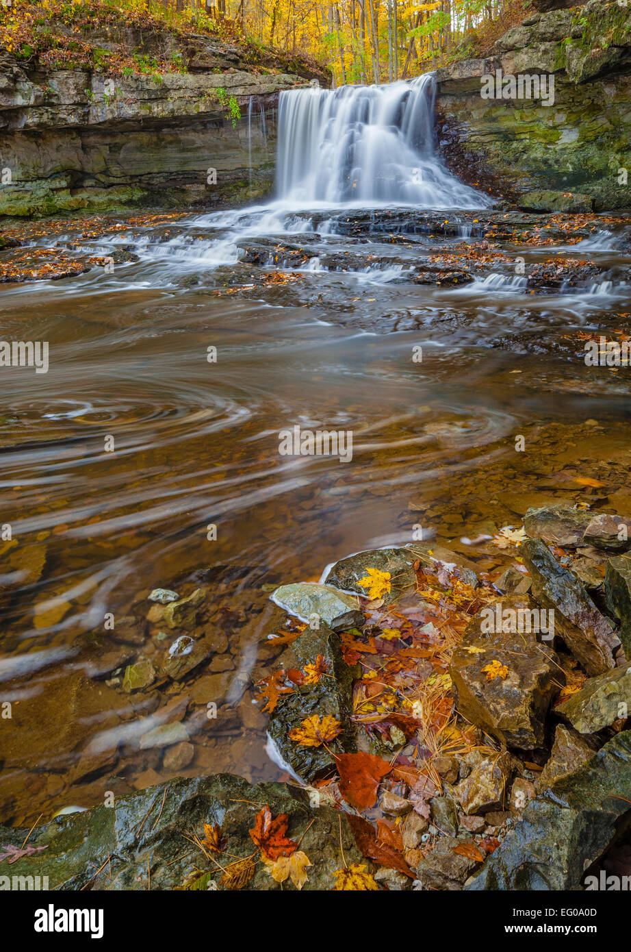 McCormick's Creek State Park, IN: McCormick's Creek Falls in autumn ...