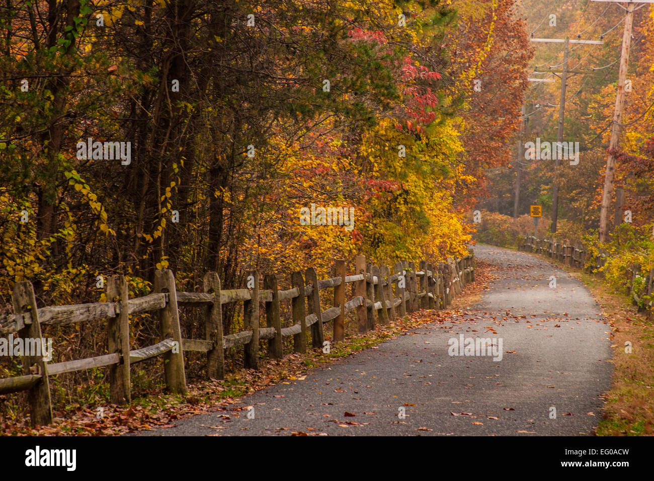 A Multi Use Path for recreational purposes curves through a park ...