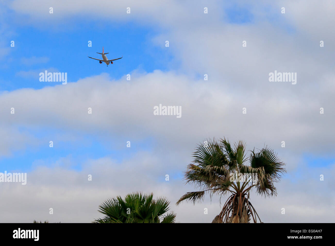 airplane flying over tropical palm trees Stock Photo - Alamy