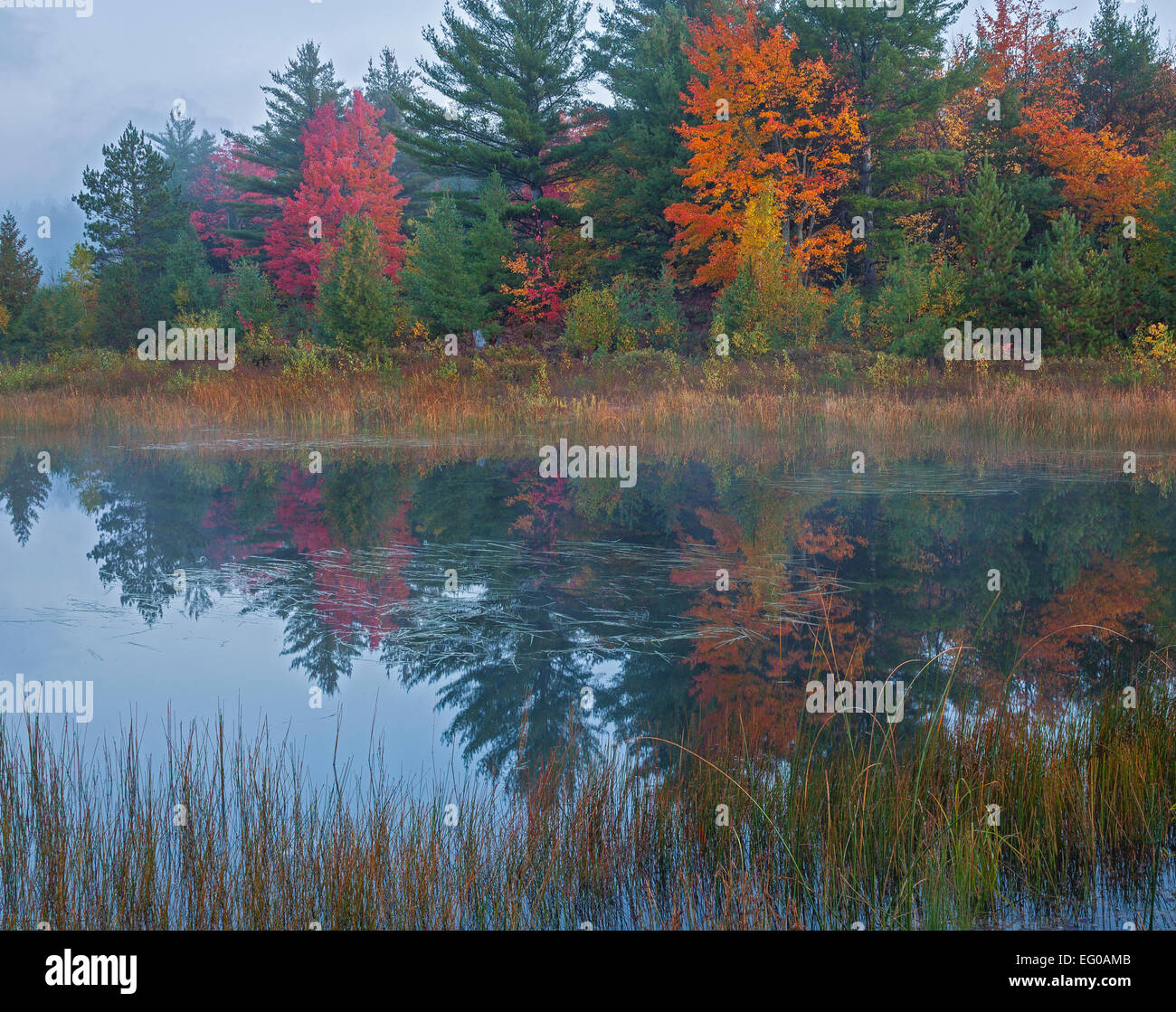 Lake Superior State Forest, Michigan: Dawn reflections on Kingston Lake ...