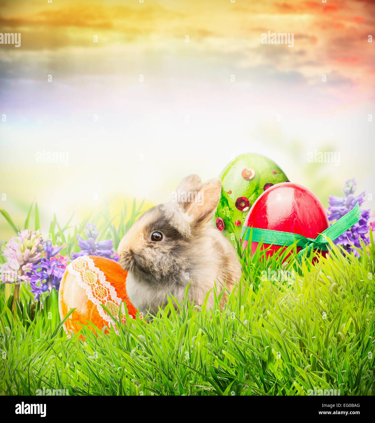 Spring flowers meadow rabbit hi-res stock photography and images - Alamy