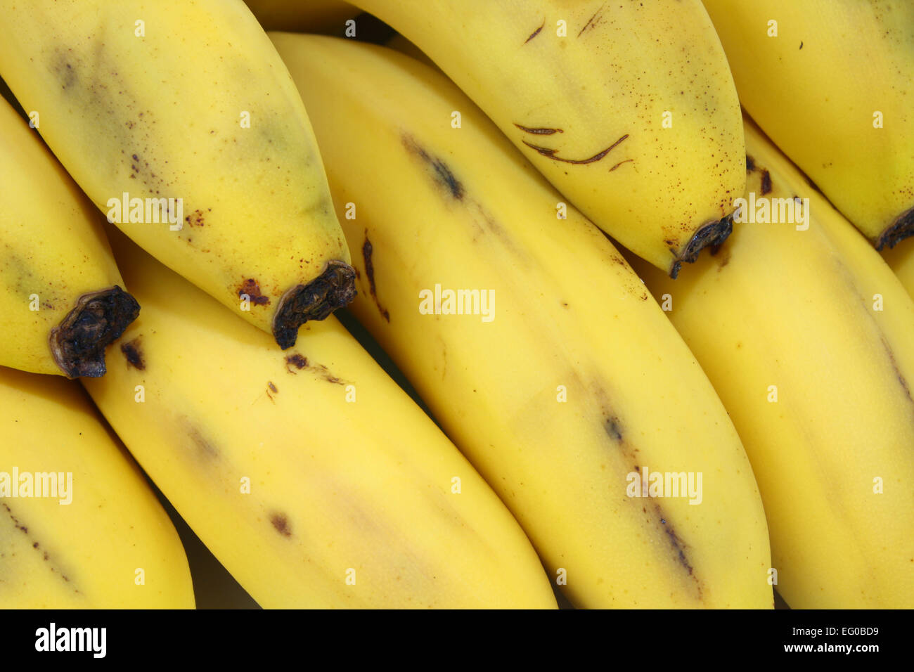 A colorful bunch of bannanas Stock Photo - Alamy