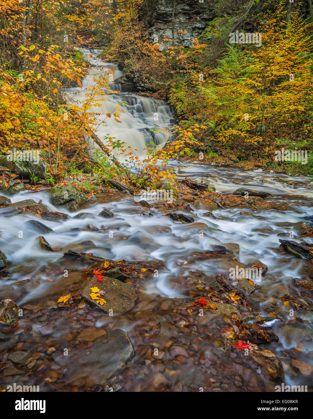 Mohican State Park High Resolution Stock Photography and Images - Alamy