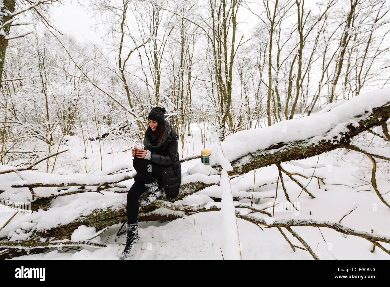 Girl on a halt in the winter forest Stock Photo - Alamy