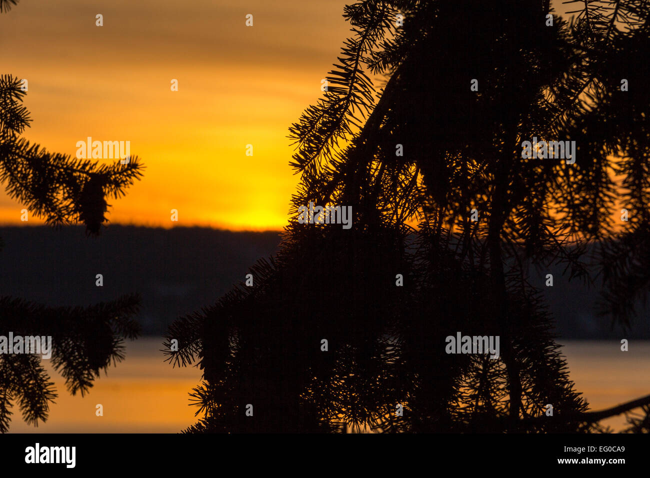 Evergreen sunset hi-res stock photography and images - Alamy