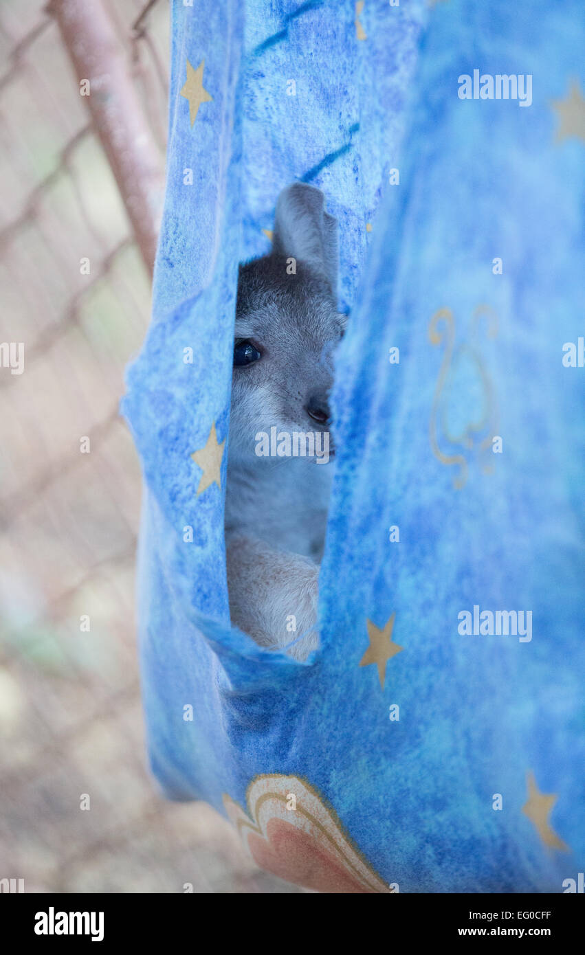 Daly grove hi-res stock photography and images - Alamy