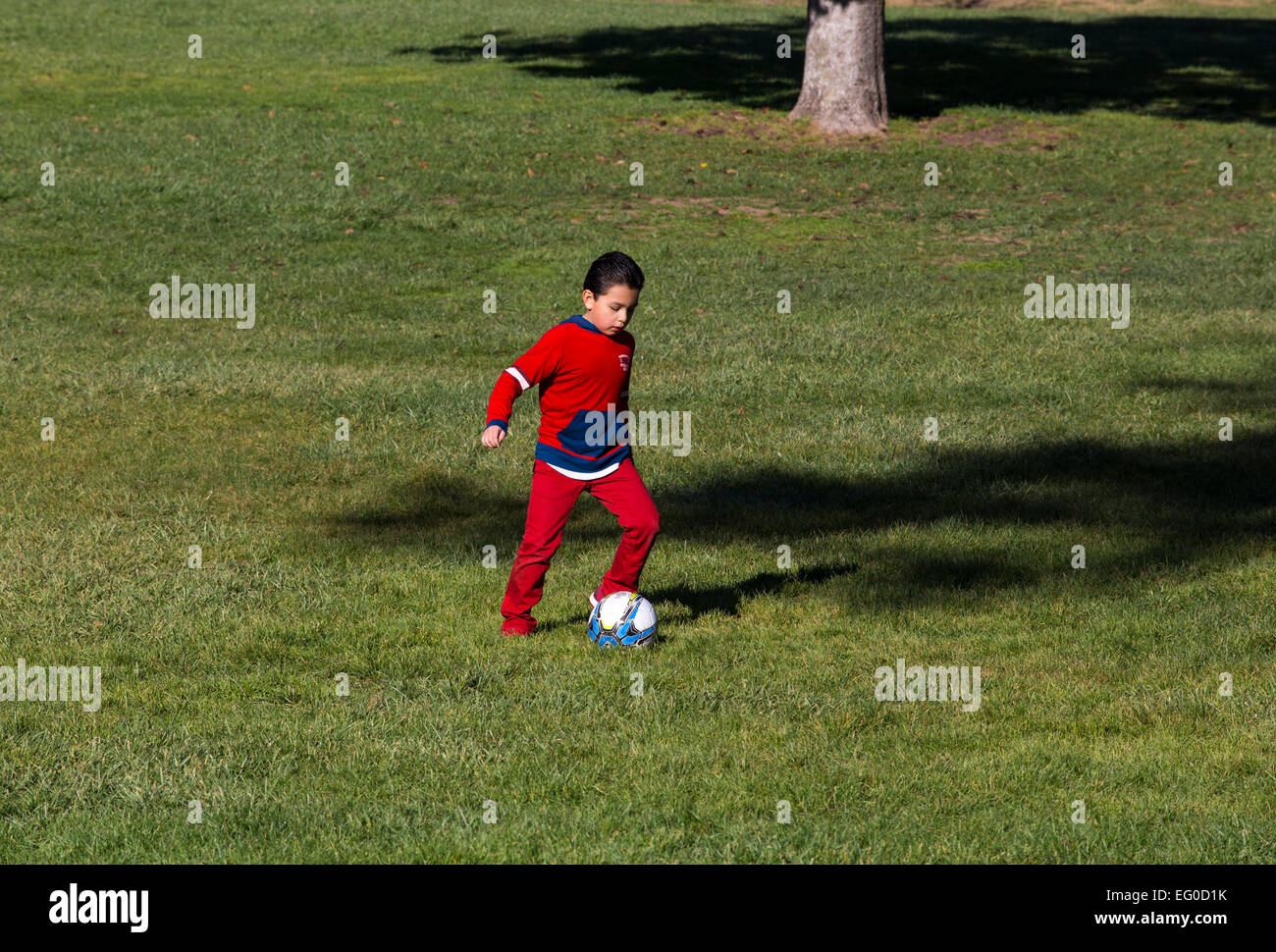 young Hispanic boy learning to play soccer by kicking soccer ball while ...