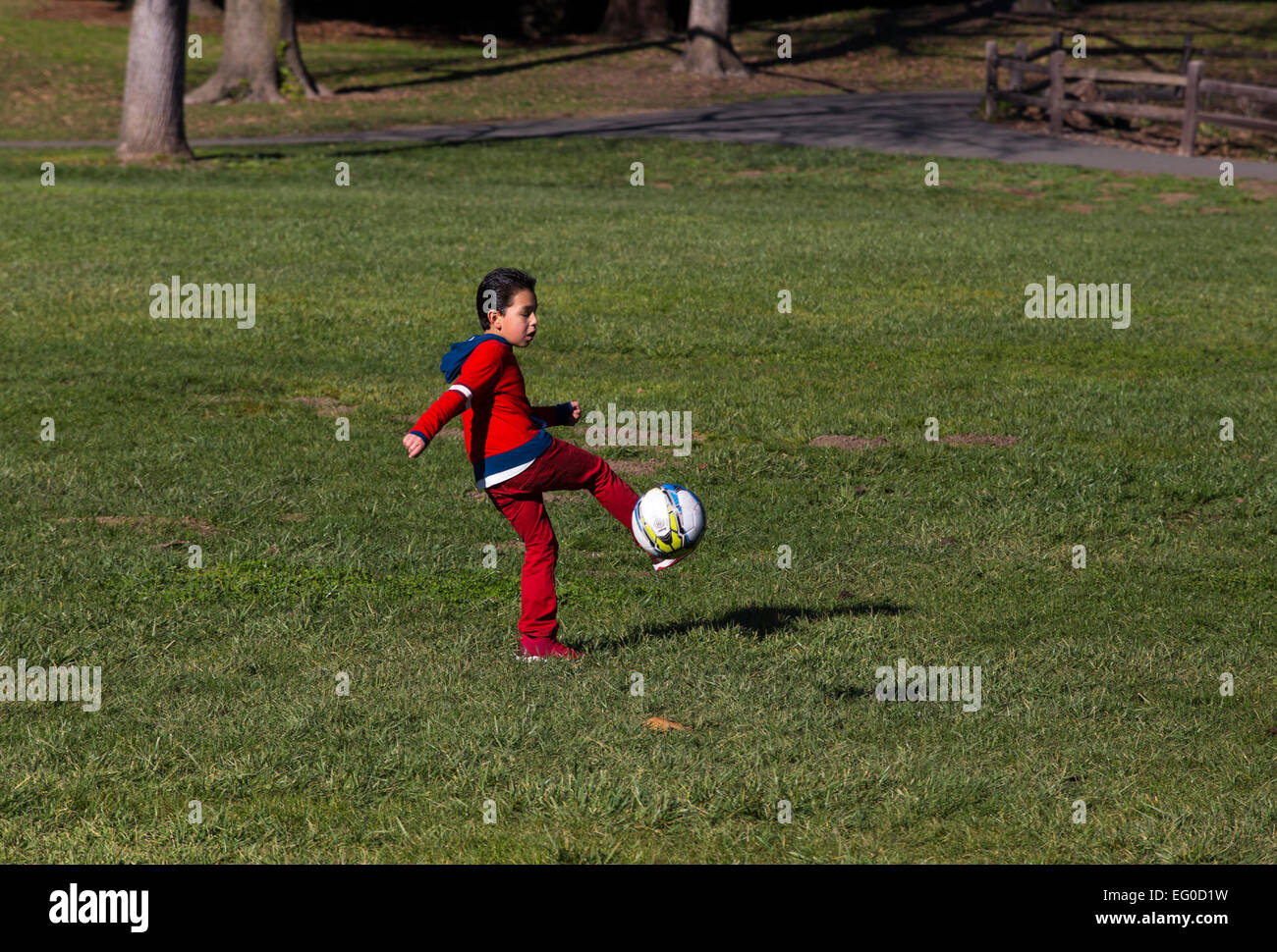 young Hispanic boy learning to play soccer by kicking soccer ball while ...