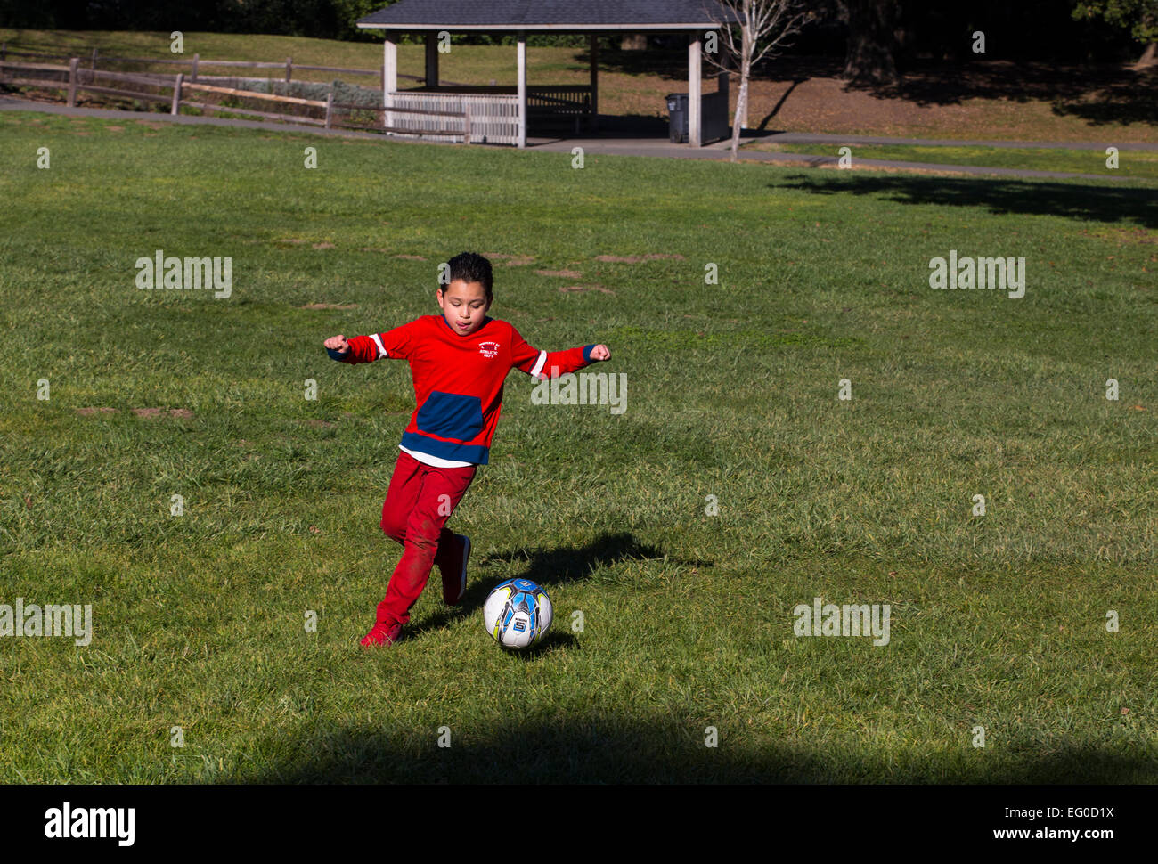 young Hispanic boy learning to play soccer by kicking soccer ball while ...