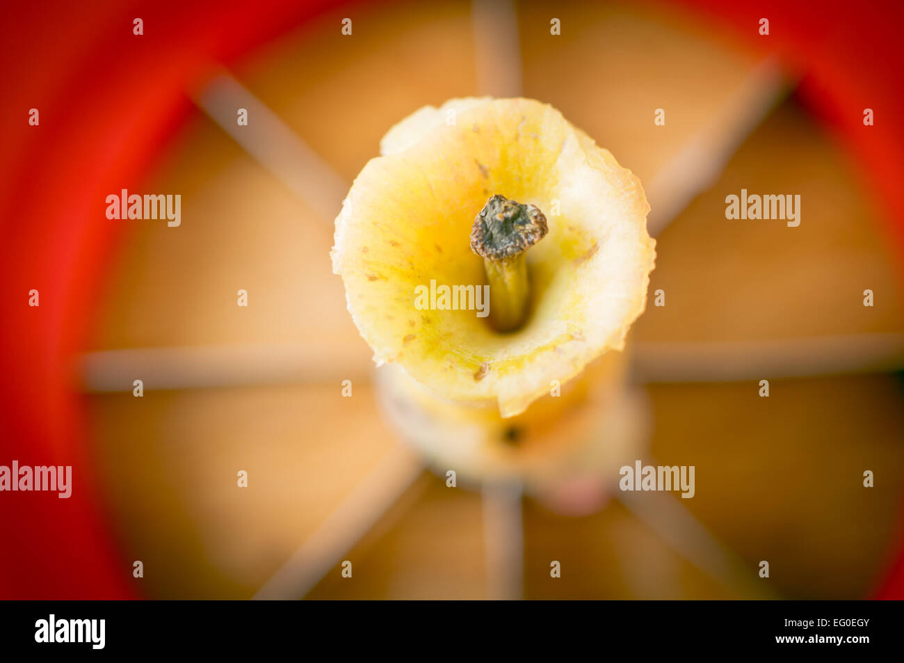 Core of an apple cut into slices tool top view Stock Photo - Alamy