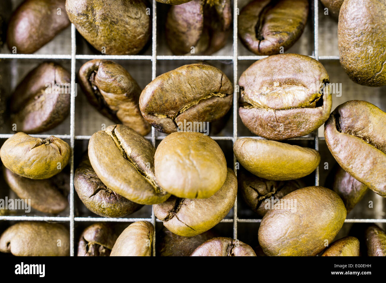 Selection of the best coffee beans on a steel lattice Stock Photo - Alamy