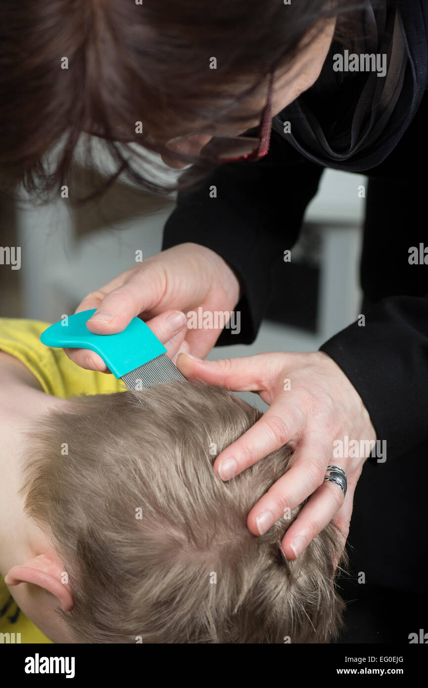 Mother checking childs head for lice with a comb Stock Photo - Alamy