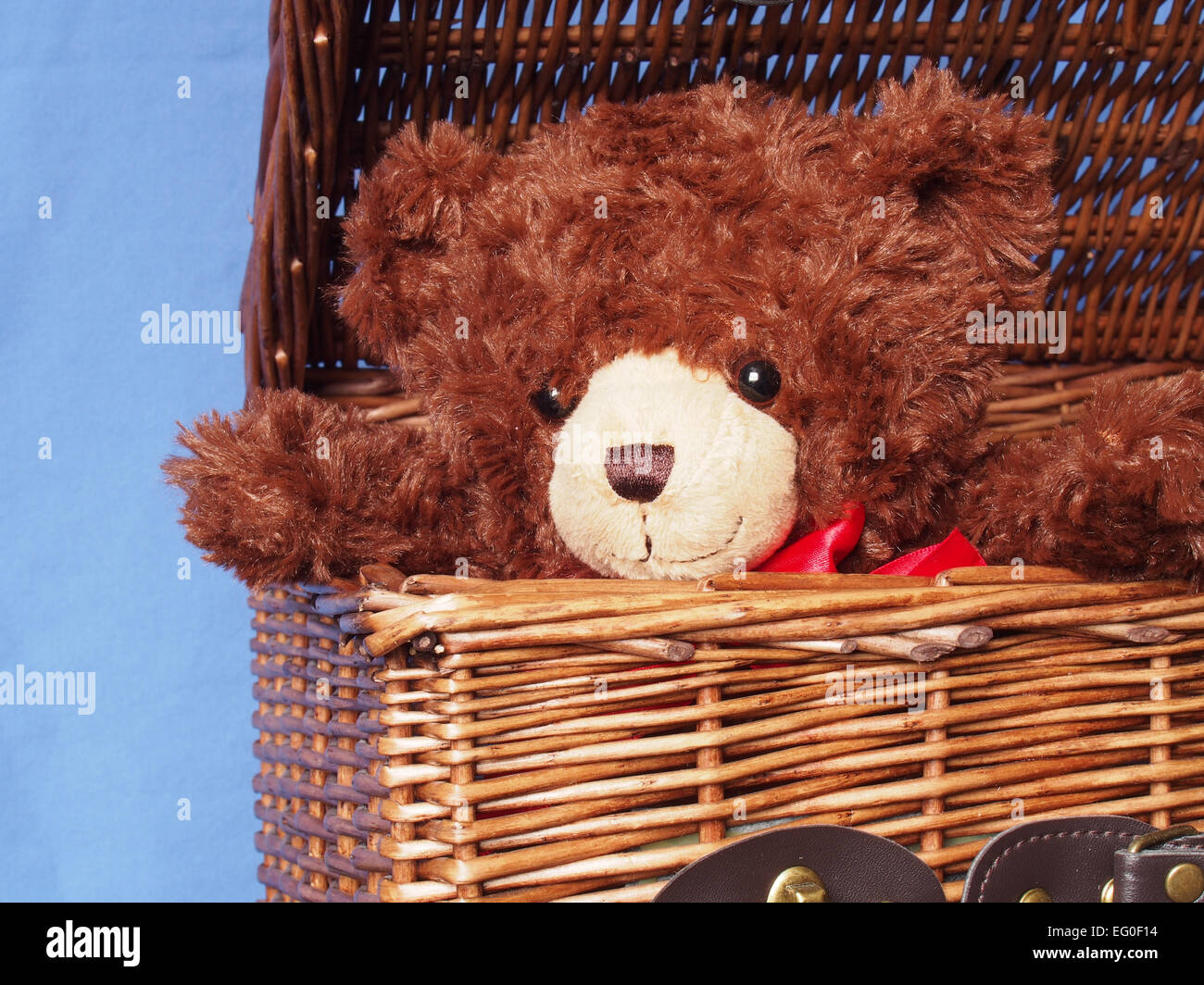 Brown furry teddy bear looking out from a food hamper happy and smiling ...