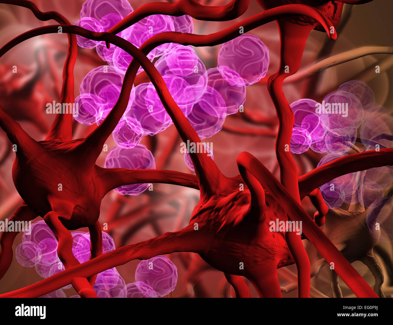 Red blood cells. Blood elements close up Stock Photo - Alamy