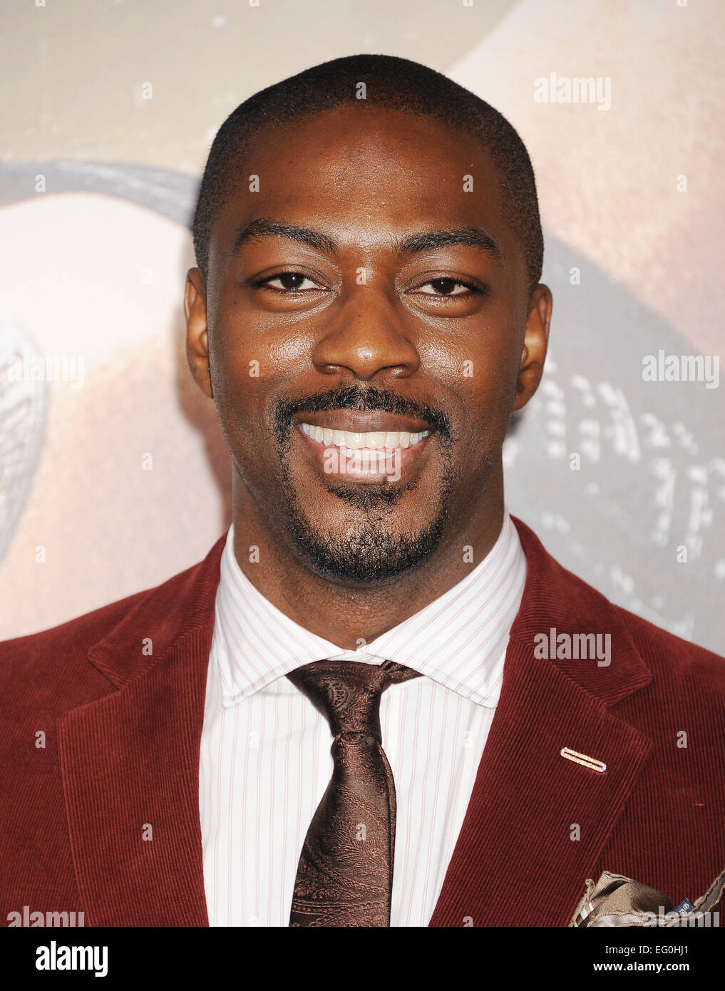 Actor david hi-res stock photography and images - Alamy