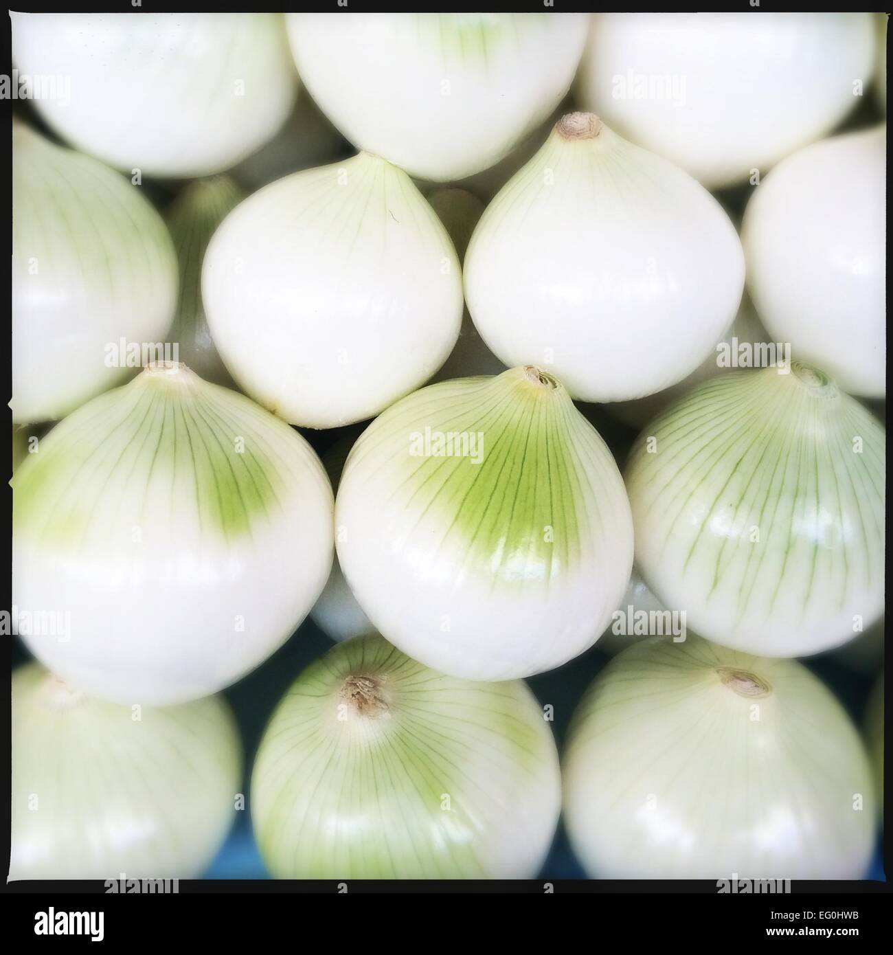 Close-up view of stack of onions Stock Photo - Alamy