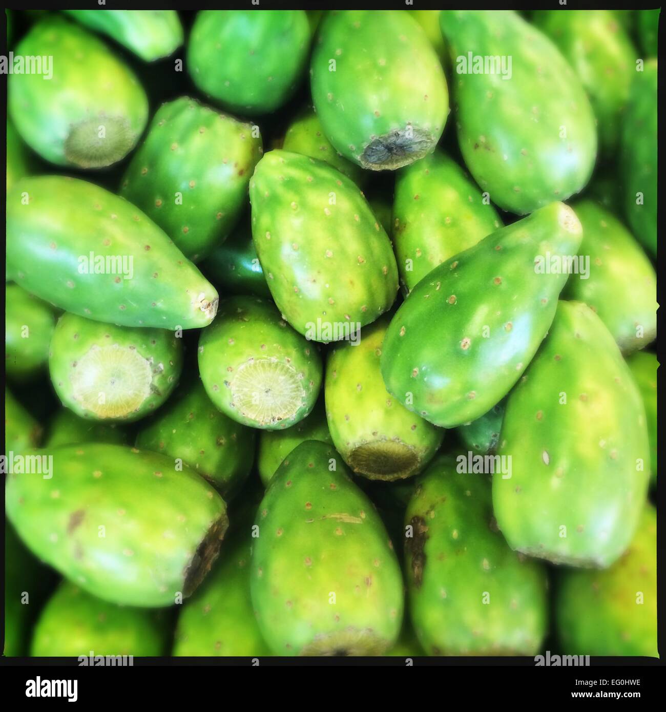 Close-up view of stack of pear cacti Stock Photo - Alamy