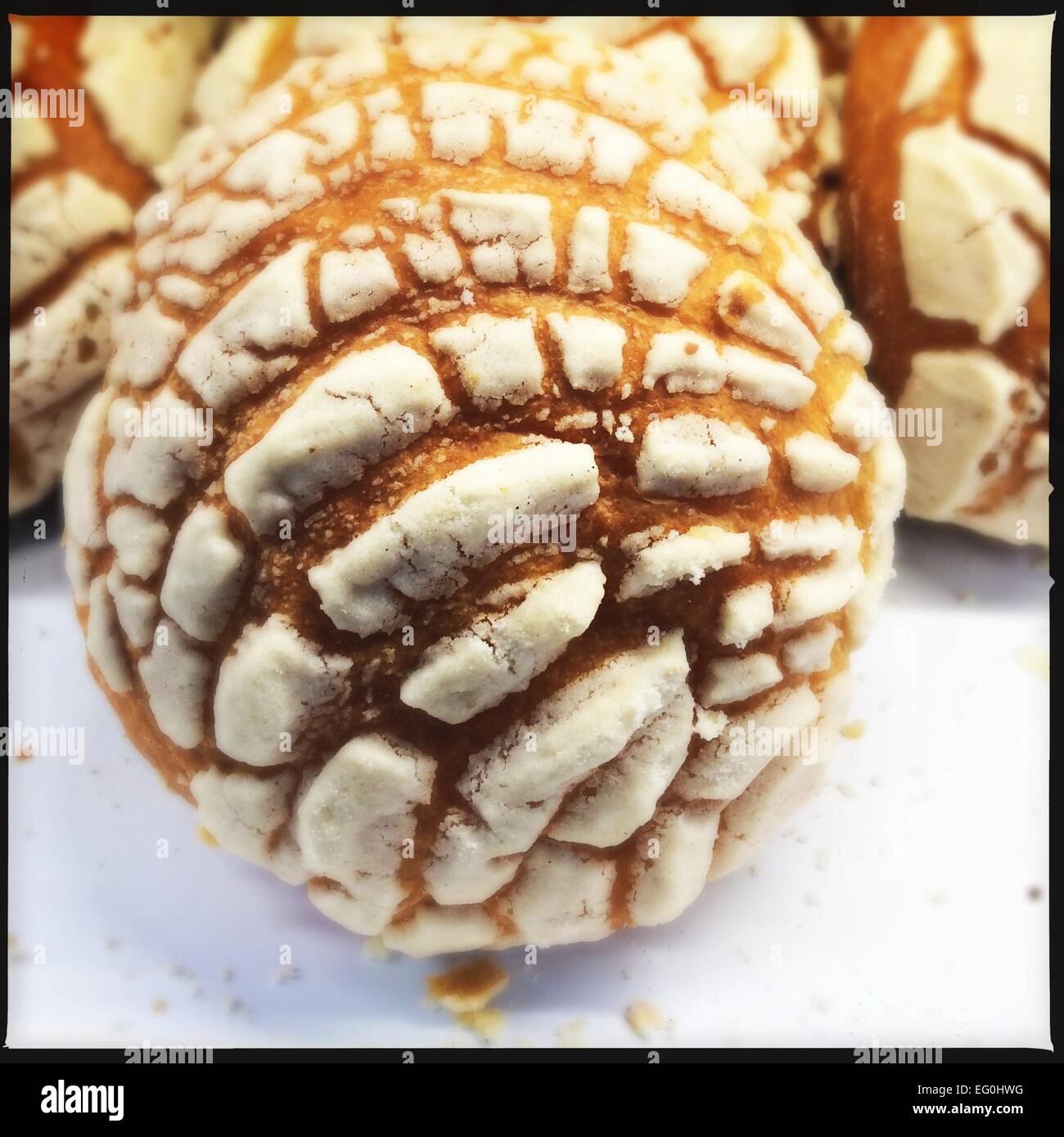 Close-up view of bread shells Stock Photo - Alamy