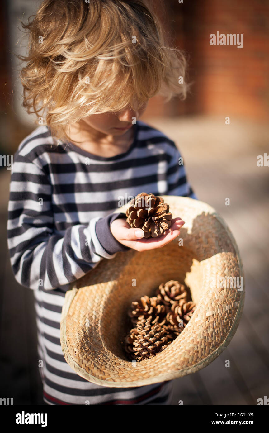 Boy holding pine cones Stock Photo - Alamy